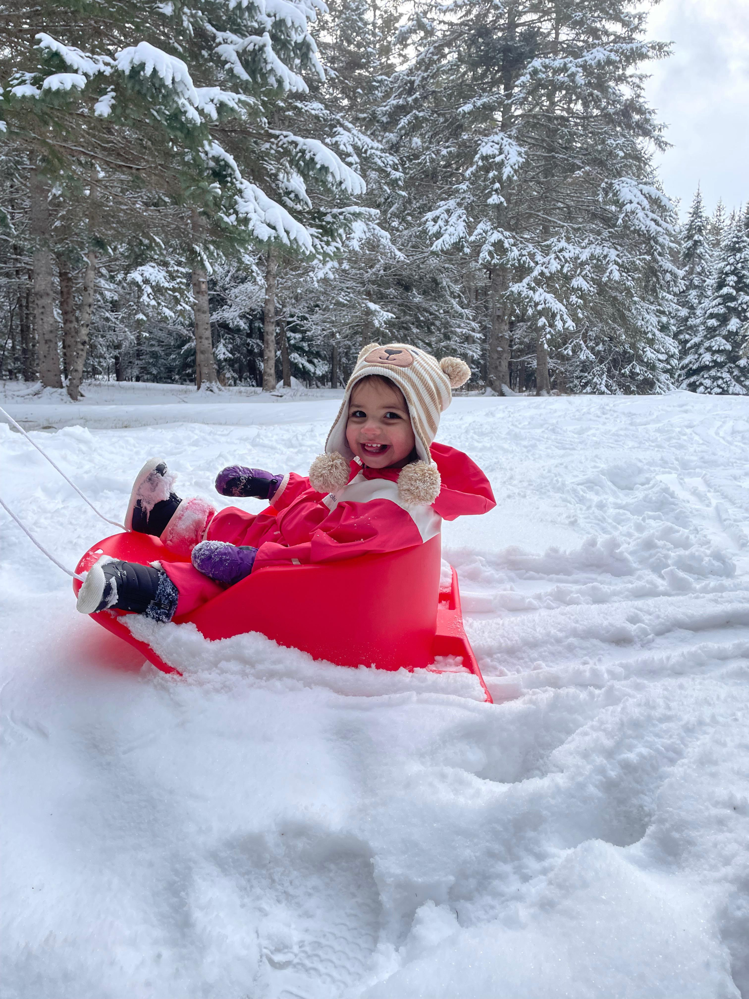 Winter Isn’t Over Yet: Free Family Fun in Maynard - The Maynard Voice